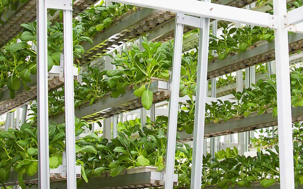 New Agri-food Standards Launched In Singapore - USAPEEC ASEAN