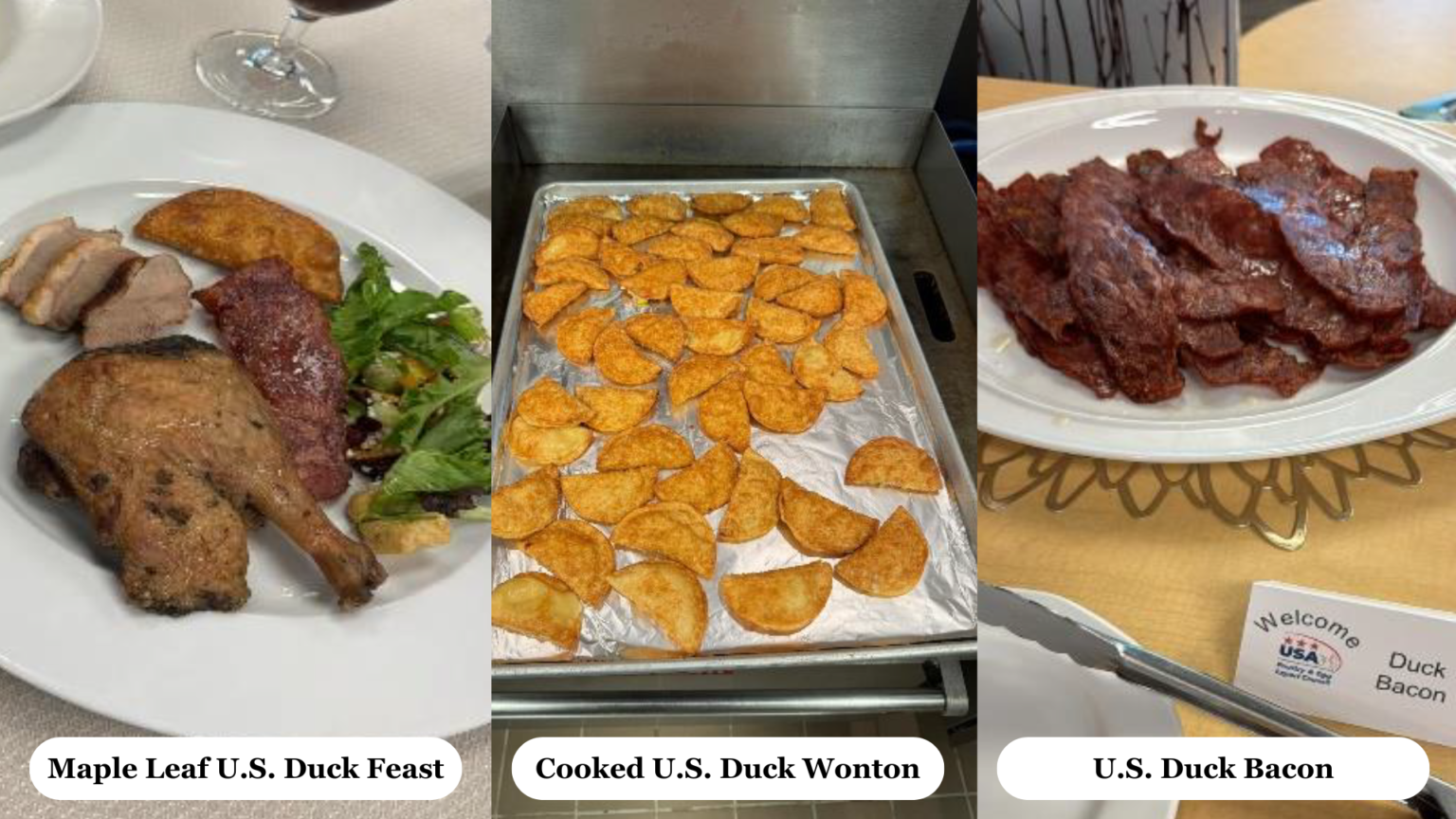 Discover the Diverse Range of U.S. Duck Products Ready for Import ...